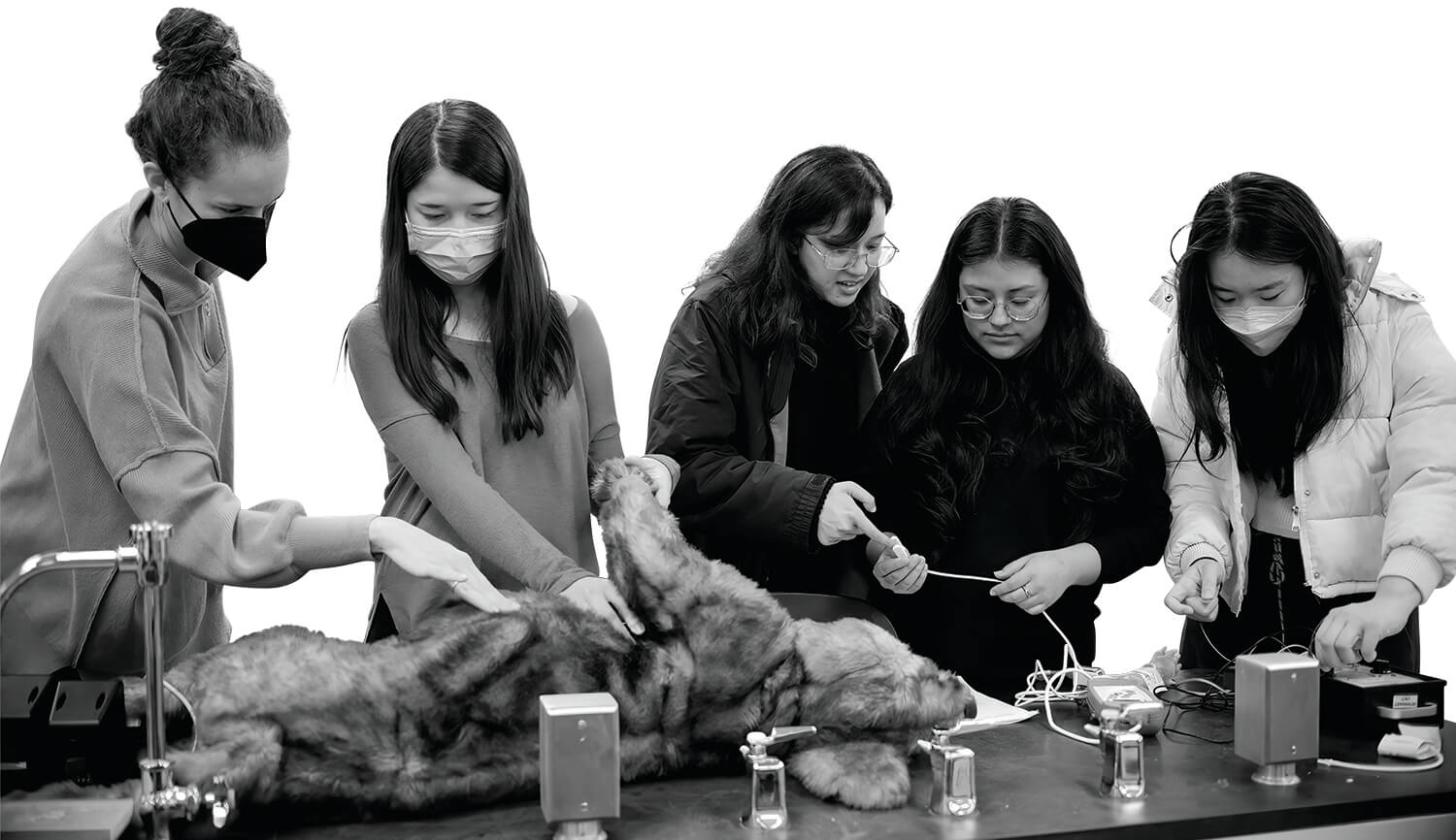 Educating a 21st-Century Veterinarian – University of Pennsylvania ...