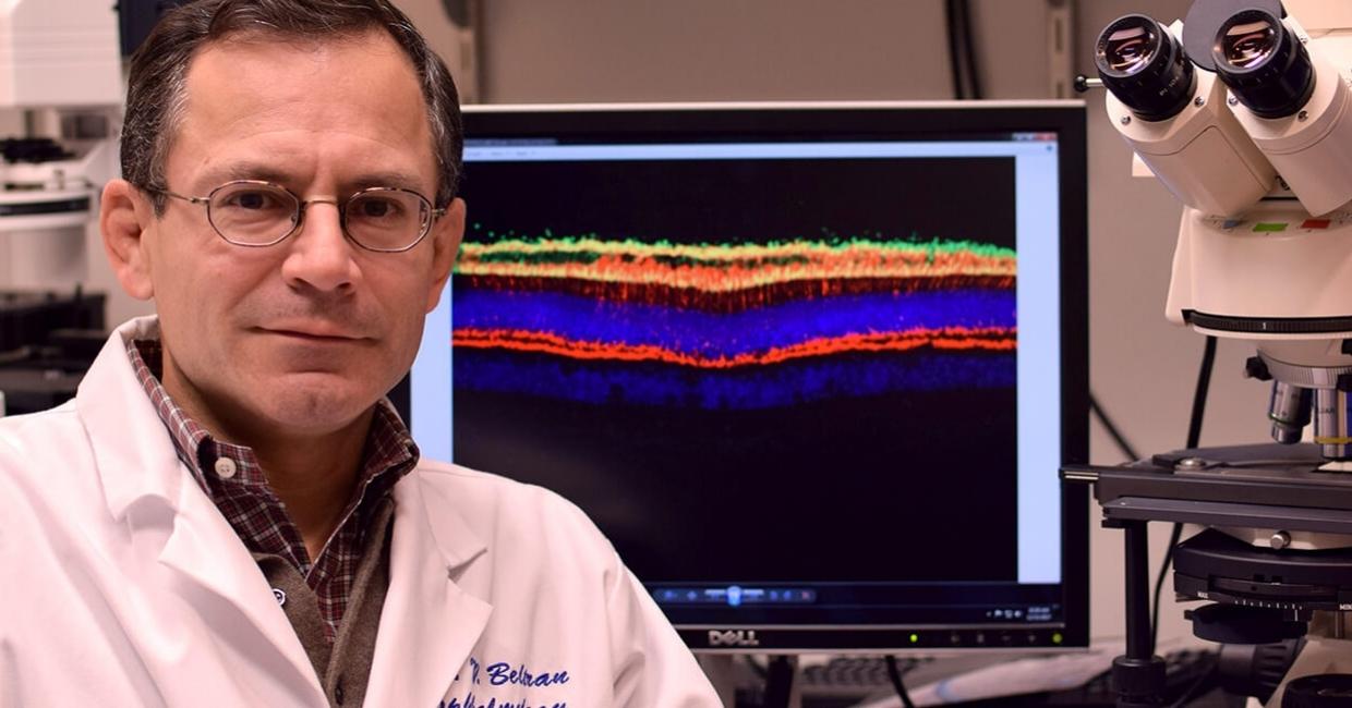Penn Vet Researchers Evaluate a New Device That Could Streamline Vision ...
