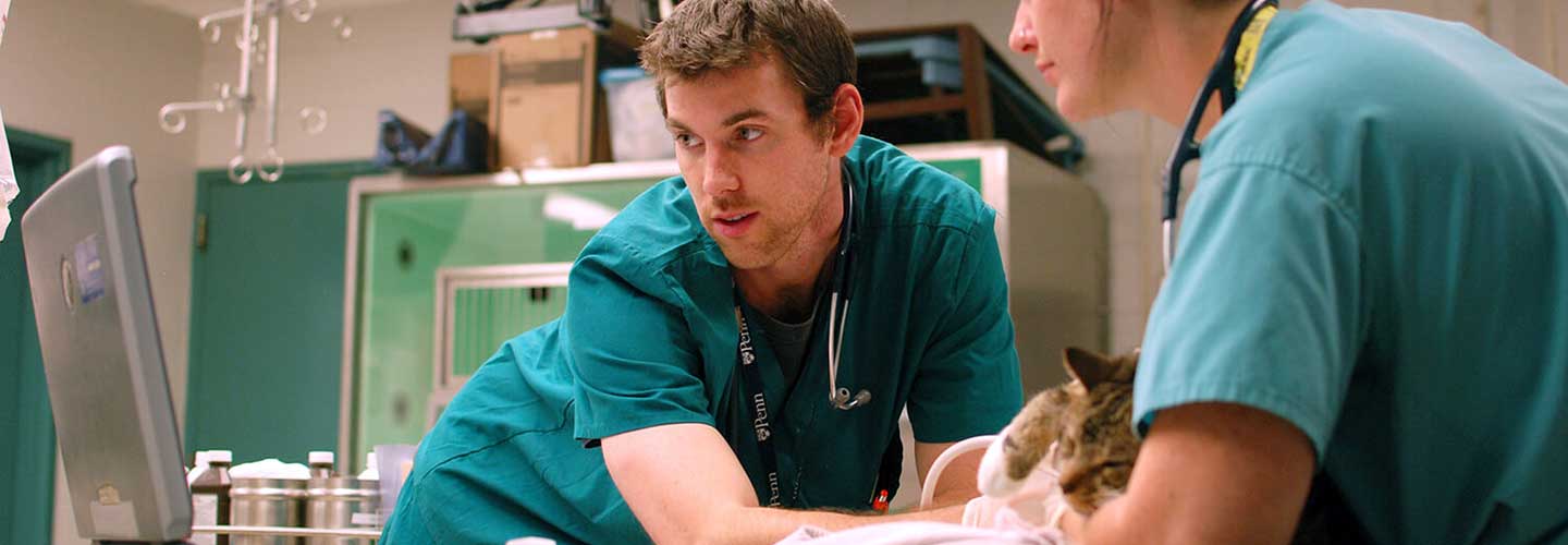 PennChart – University of Pennsylvania, School of Veterinary Medicine