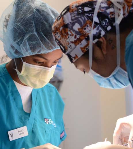 Online Graduate Programs in Animal Welfare & Behavior – University of ...